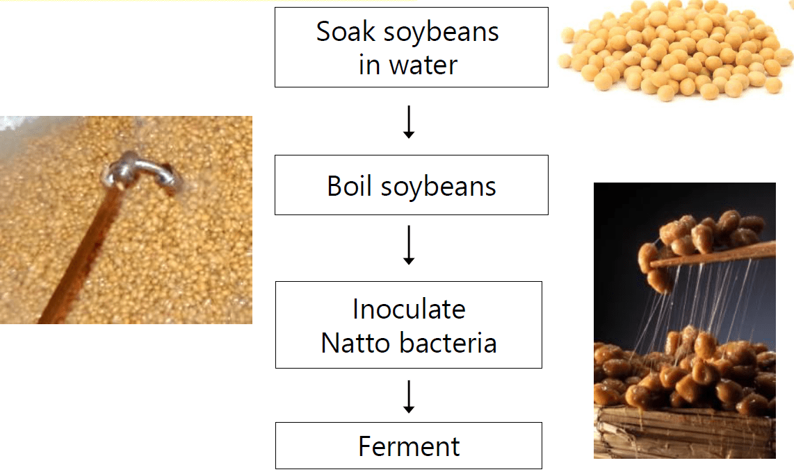 Production Flow of Natto – Nattokinase Japan